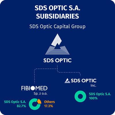 SDS Optic Group Capital Structure